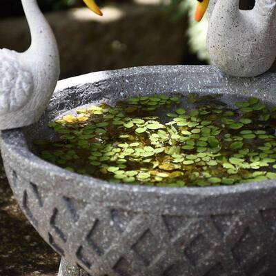 庭院IHZ花园植造景天鹅水培花盆摆件内外绿室盆栽白布置创意庭院