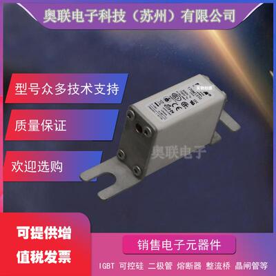 170M1413170M1414170M1415170M1416170M1417巴斯曼电容保险丝