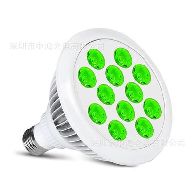 580NM59NM0460NM520NMIEQ630NM066NM670NM灯730M850NMLED泡