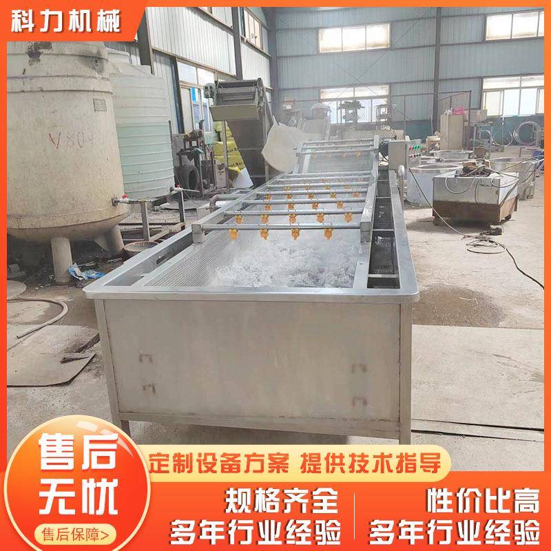 百香果气泡清洗机多功能果蔬清洗机自动洗菜机洗果机