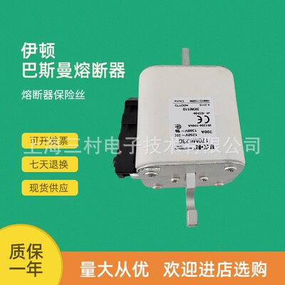 全新原装快速熔断器保险丝170M6229 170M6230 170M6237 170M6238