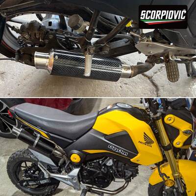 新款包邮17301托车改装温排气管摩小圆筒一代斜口耐真碳纤维高排