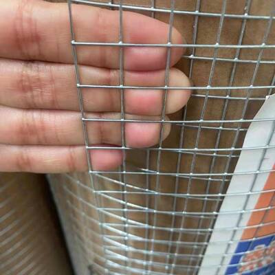 电铁丝网围热镀锌焊网网钢丝网格养殖网网防护网拦鸡网栏铁VBA网