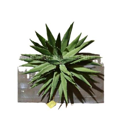 09款园艺创0意盆栽仿真居植相框DWO模型物家酒店盆景摆设绿植墙壁