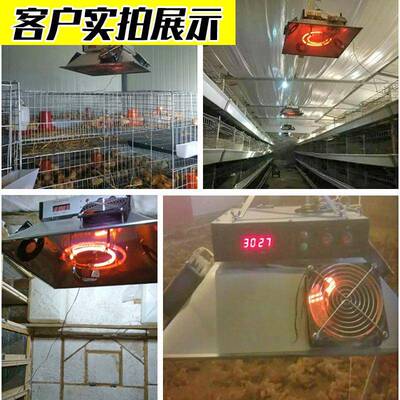 育雏器保温取暖WGV器全动自鸡舍保护伞养殖鸭物鹅保暖猪宠加温暖
