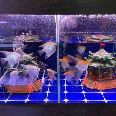 马赛克面蓝色胶玻璃带鱼缸贴不干胶黑色鱼缸背EEH景贴白色格子正