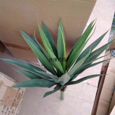 真剑兰盆栽龙舌兰麻假仿PFM绿植园装艺工程景观造景摆设剑庭院饰