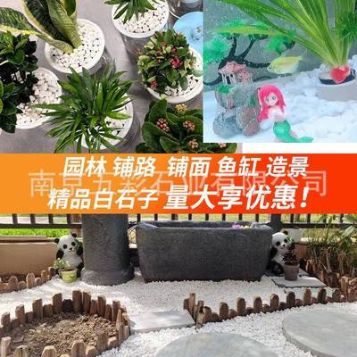 40斤多18994郁装天然白石子园艺石盆栽头肉铺面金香庭院造景