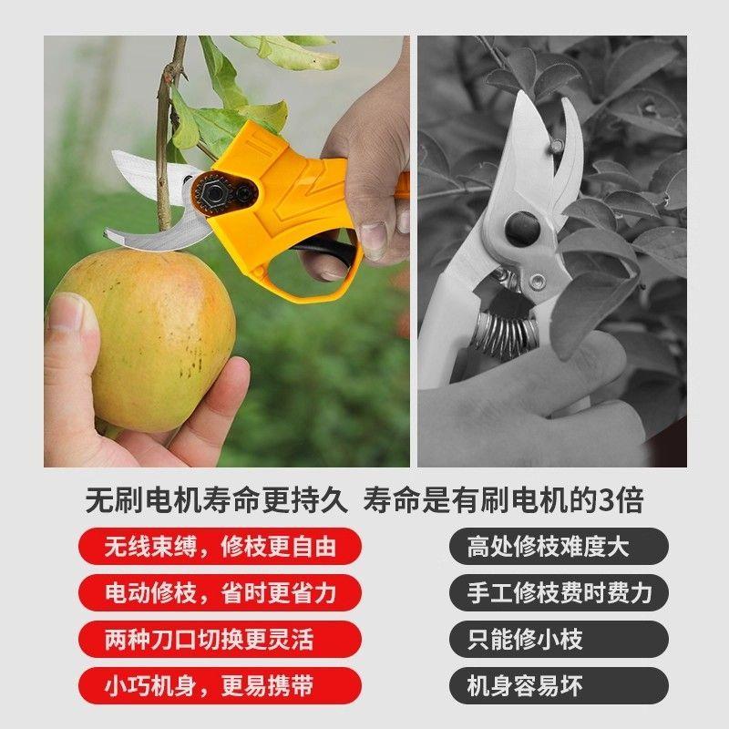 雷克电动修枝剪电剪刀剪树枝果树园艺剪子锂电充电式果农剪枝神器