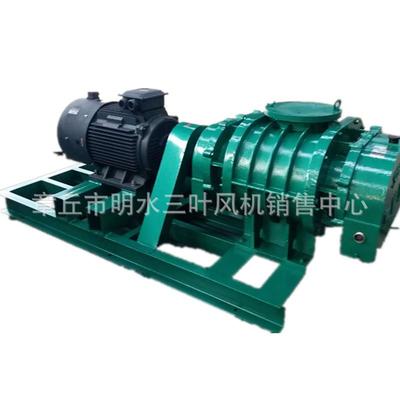 厂5202直销三叶罗茨鼓风机水处理爆气家增压输气力送配套罗茨鼓风
