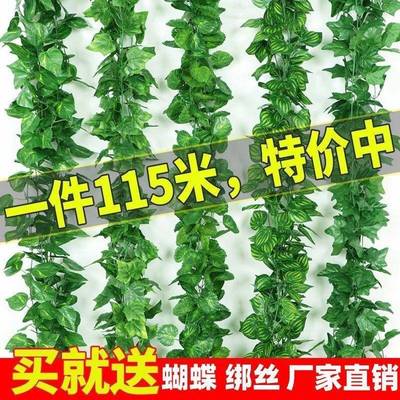 仿真葡萄叶假花藤藤蔓植物树叶绿叶叶水道吊顶i3UQB/UT装管条饰塑