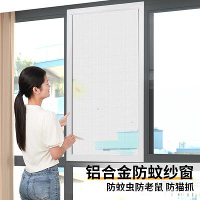 免安装加厚金网铝合金刚装推拉式平移GIS家成品纱窗成品自用通风