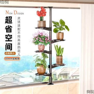 顶天LPP立地悬挂花架阳台室拐角落地式窗台物盆立体置物架花植架