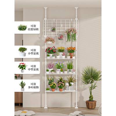 肉多VRI花架地置植物架阳台层架顶天立客厅支撑杆展示架室内物摆