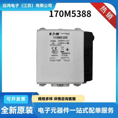 巴斯曼快速熔断器170M5388等