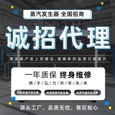 弘商用全自动炉100KG立式WVZ锅生物质蒸汽发生器安全节锅能力炉