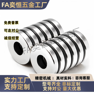 BLS65/66-A8/A10/A12/A15/A20/25-T3-T4-T4.5-T5-T5.5磁铁