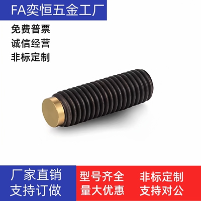 内六角 铜头型止动螺丝TDA11-M6M8-L10L12L16L20L25L30L40L50L60