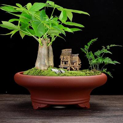 紫榕砂花仿古圆口形1228大径桌面透气盆景盆多肉室内假山树园盆艺