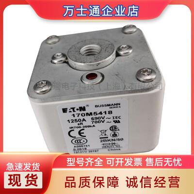 170M5966170M5967170M5968170M596170M5970熔断器原装现货