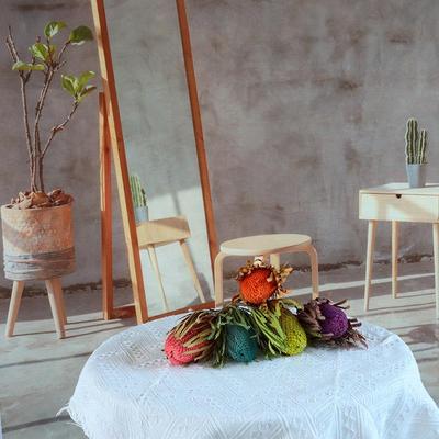 班克木贝克斯干花天然真花 家居高端插花陈设新品装饰拍照干花