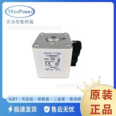 170M4460 170M4466 170M4699直流快速熔断器/高压熔断器保险丝