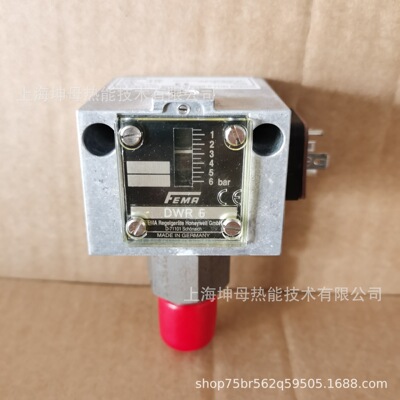 FEMA/菲玛压力开关DGM310A