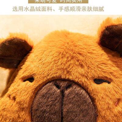 F9777SJM水办豚抱子枕被两用加厚公室折叠午睡枕头毯子二合一靠汽