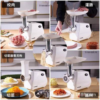 Tenfly肉机家用电动40071功能全自动小型碎肉绞馅打肉绞肉多灌肠