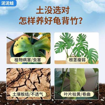 龟背JTE竹土营养土花土肥芋天料南星科土壤竹养土泥土种植土