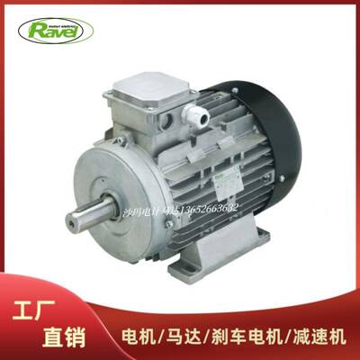 意大利Ravel 电机马达RT RHE RHSE系列 RAVELMOTOR电动机