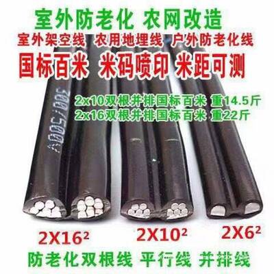 国标铝214线线双016平方电电缆室外12芯农网入户防老化平行并排线