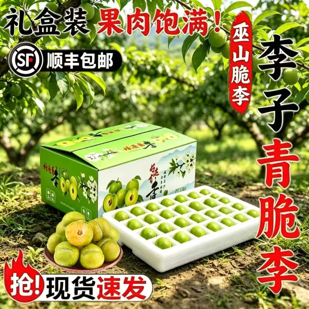 【顺丰当日发】重庆巫山青脆李空心脱骨李子应季新鲜李子孕妇水果