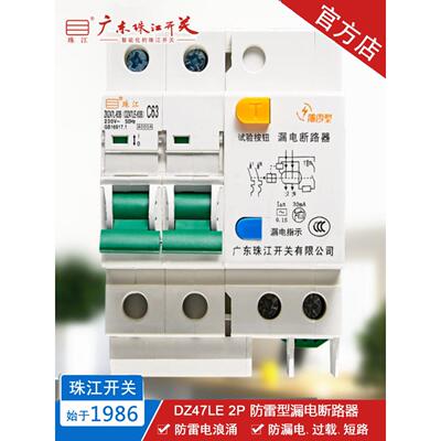 珠江开关Dz47Le 2P 63A微型断路器防雷漏气开关