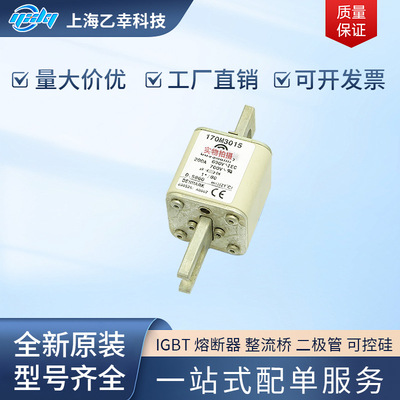 巴斯曼熔断器170M3018-3022