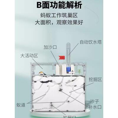 蚁巢亚克力王国蚂蚁生态箱 超大蚂蚁城堡 超大 巢穴大号蚂蚁窝