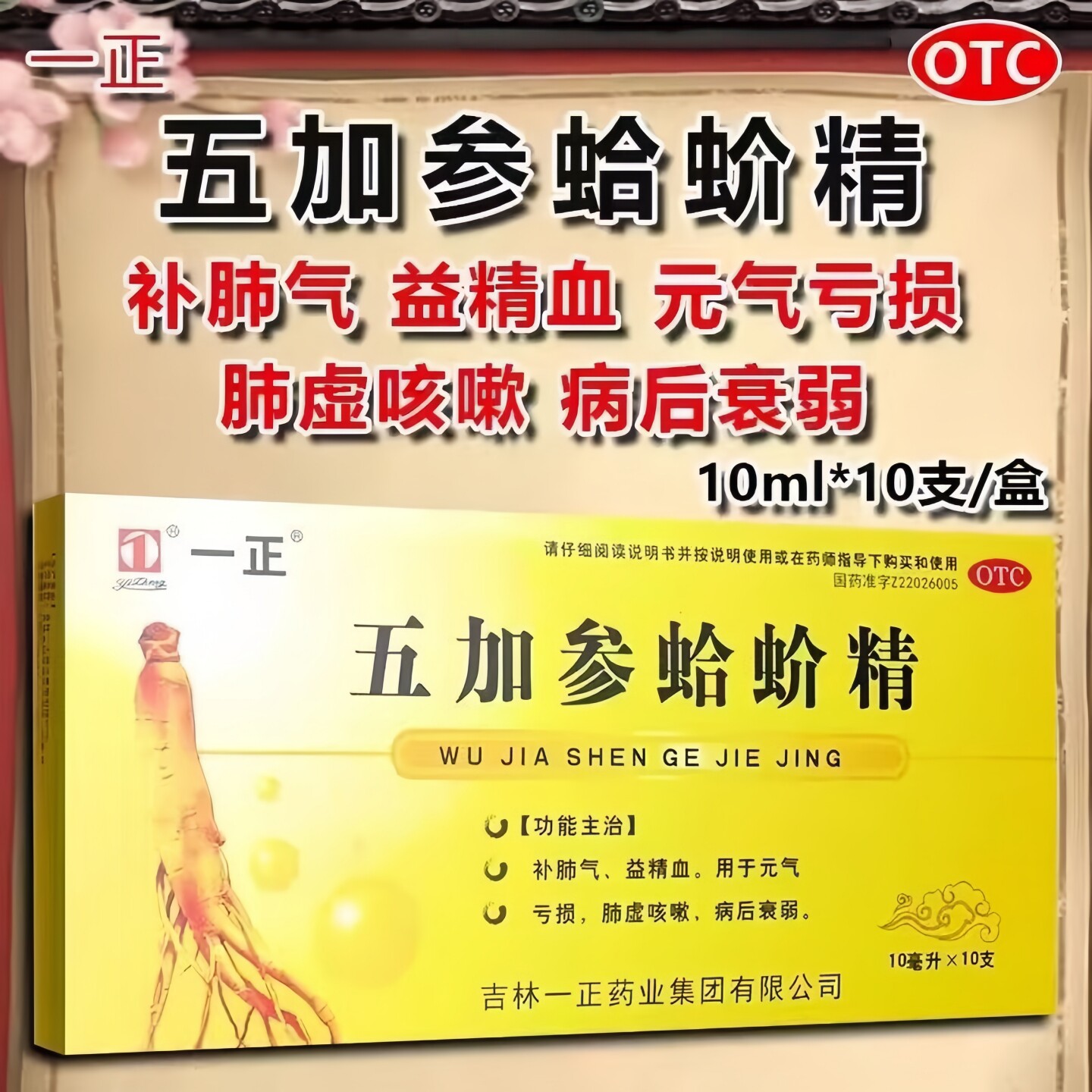 一正 五加参蛤蚧精10支/盒 补肺气 肺虚咳嗽 五加参蛤蚧精正品lc