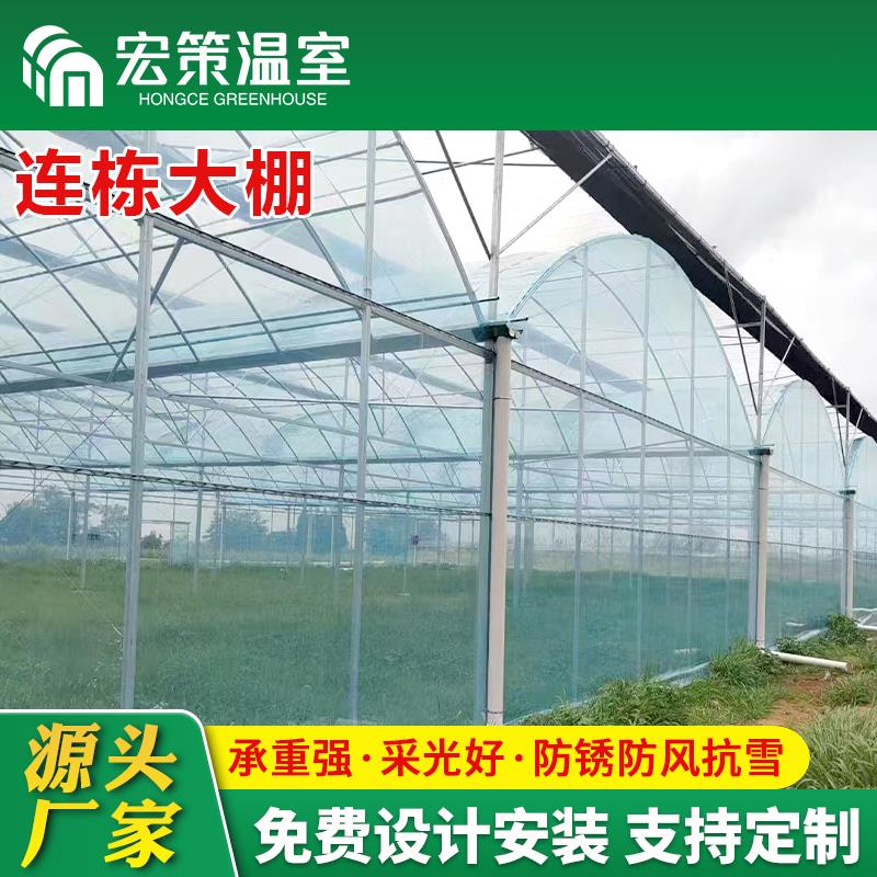 连栋大棚蔬菜养殖花卉单体大棚钢管骨架连体椭圆管大棚全套定制