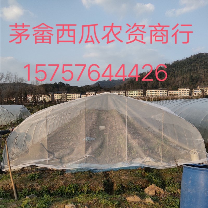 防虫网西瓜棚头套网套防蜜蜂苍蝇无籽西瓜种植网农用果蔬大棚网套