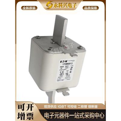 巴斯曼熔断器全新进口170M5989/5990/8629/8630/8631/8632/8633