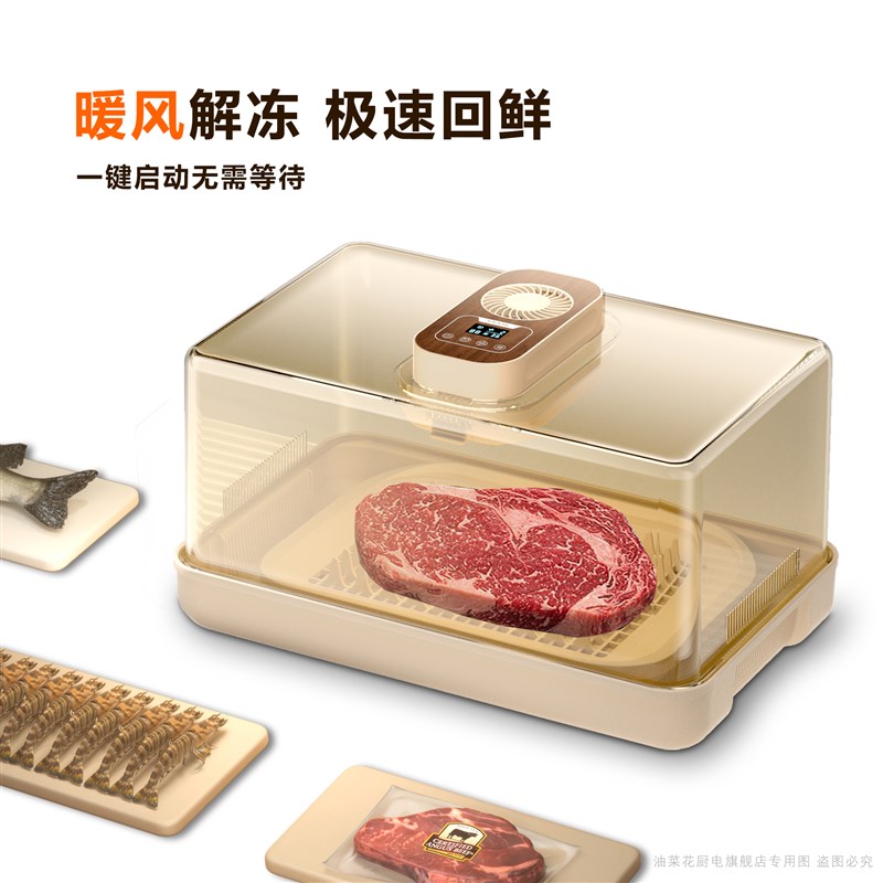 牛排保鲜解冻器快速解冻神器智能锁鲜回鲜器冷冻食物快速化冻解冻