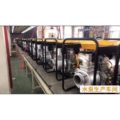 德飒寸径8DIN0mm口防汛动抗洪柴油抽机自吸泵手提式便水携移水泵