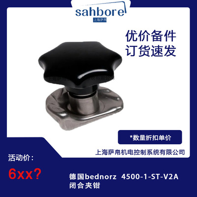 德国bednorz  4500-1-ST-V2A闭合夹钳