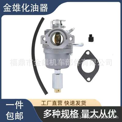 796109 化油器 591731 594593 590400 796078 498811 794161 套装