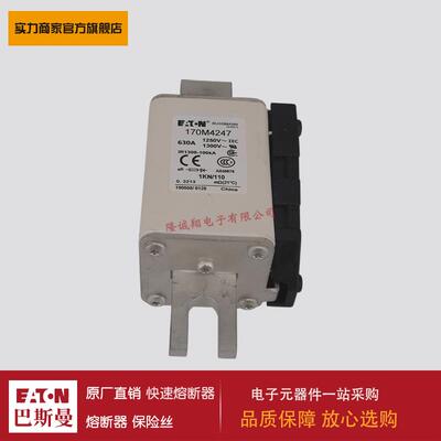 熔断器170M4247 170M5238 170M5239 170M5240 170M5241 170M5242