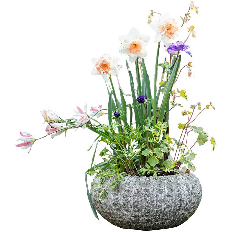 手工粗陶花盆陶土陶盆透气陶罐花盆陶瓷红陶复古做旧花园装饰花器