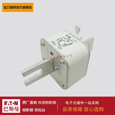 熔断器170M6066 170M6067 170M6068 170M6069 170M6070 170M6071