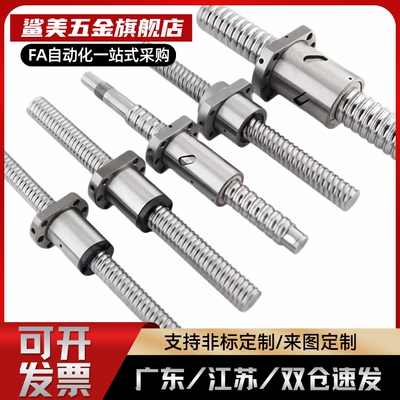 更多型滚珠丝杆BSX BSS BSSE0601 1004 1202 1210 1505 2010 2520