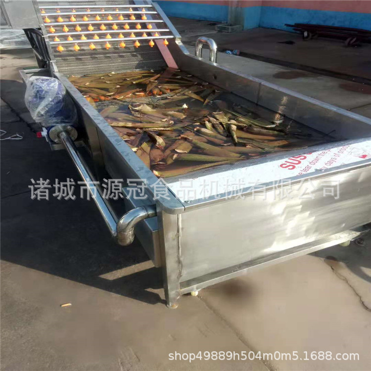 果蔬小型气泡清洗机粽叶油菜翻浪式清洗设备小龙虾高压喷淋清洗机