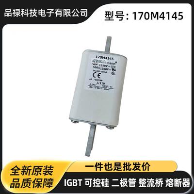 170M3808D 170M3809D 170M3810D 170M3811D原厂快速熔断器 保险丝